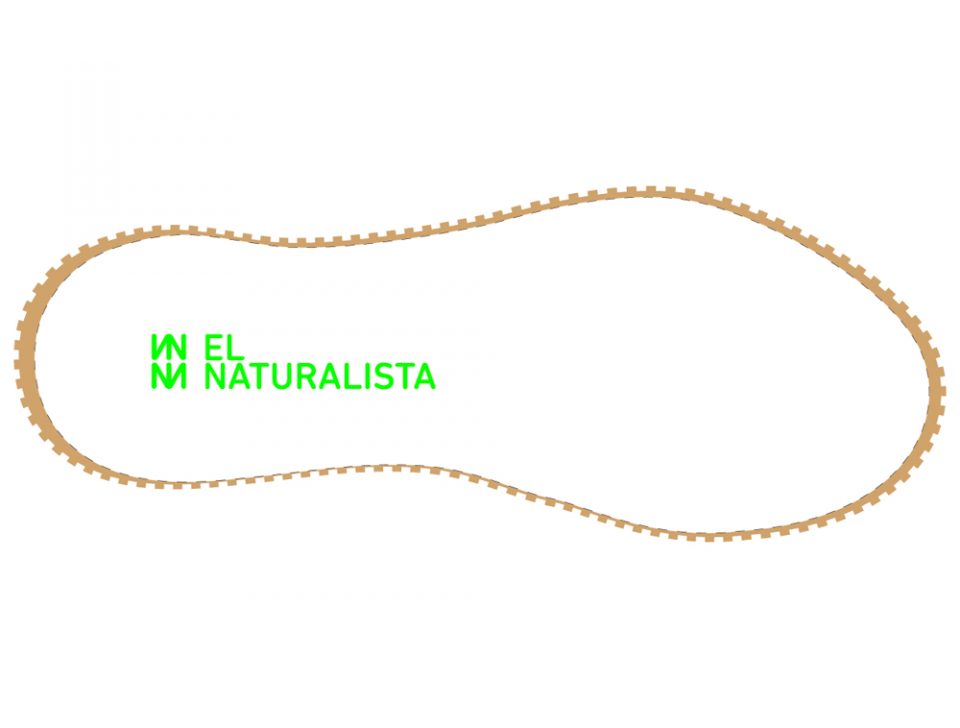 El Naturalista, un rediseño que vuelve a los orígenes
