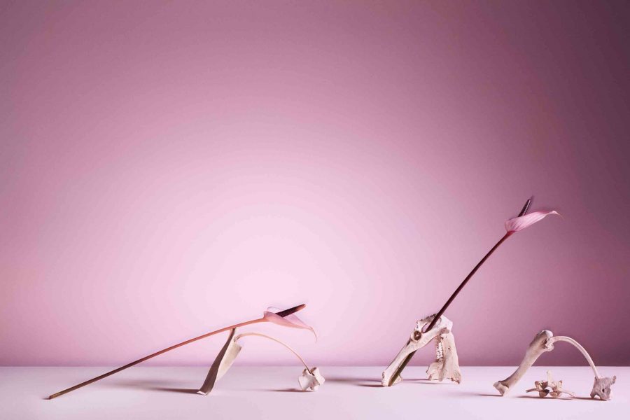 DREAM, un magazine de objetos y materiales, diseñado por Folch Studio