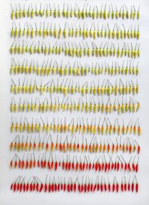 La 'maniática' fotografía de Austin Radcliffe que no podrás dejar de mirar