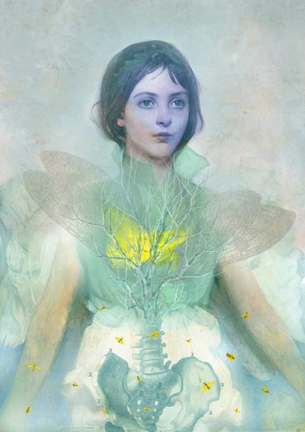 Desvelados los preseleccionados para los World Illustration Awards 2018