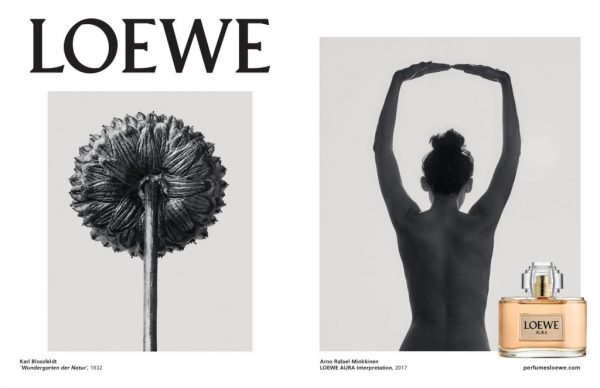 ¿Qué hay detrás del nuevo packaging de Loewe? - Gràffica