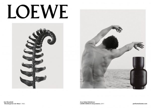 ¿Qué hay detrás del nuevo packaging de Loewe? - Gràffica