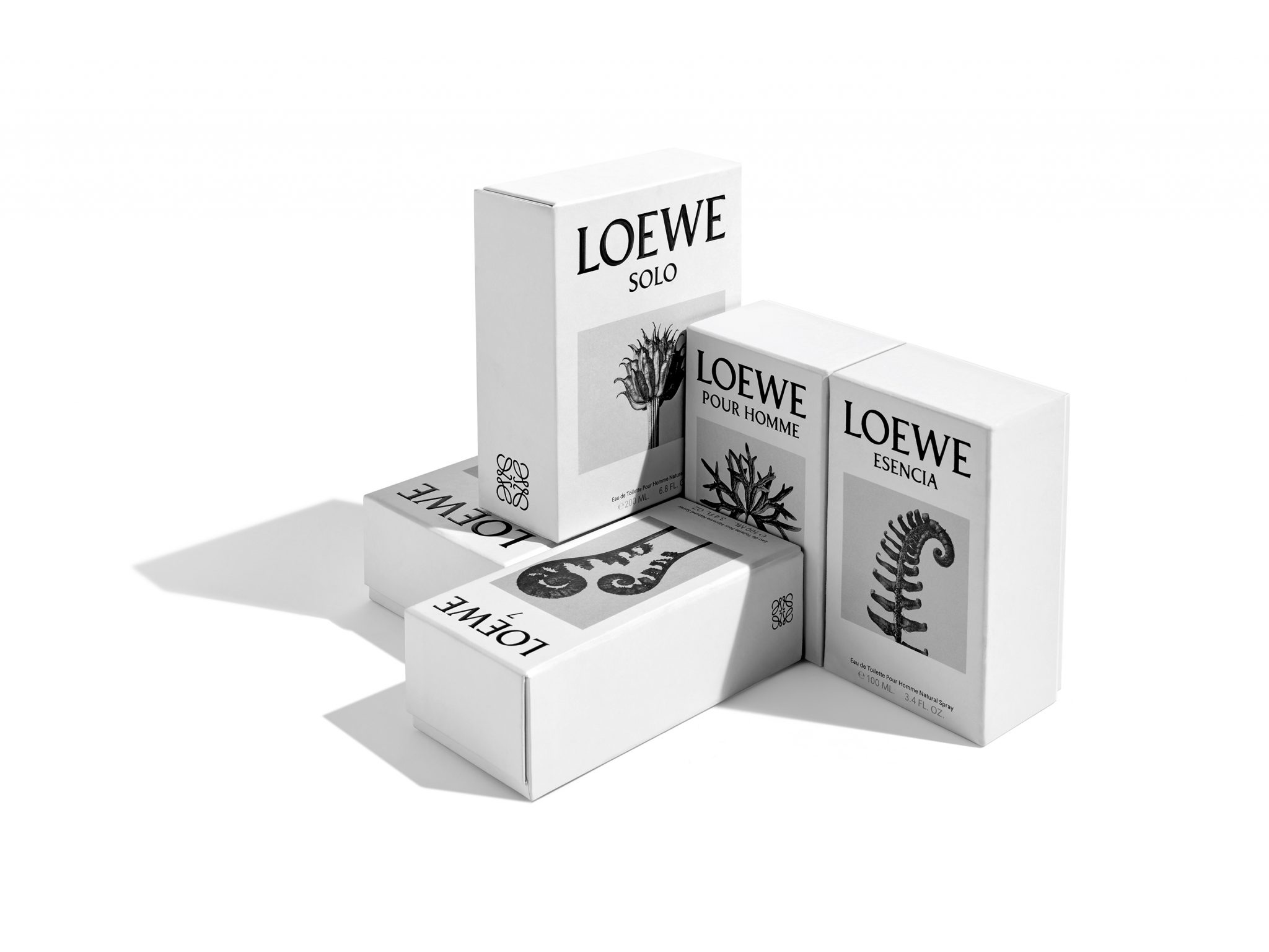 ¿Qué hay detrás del nuevo packaging de Loewe? - Gràffica