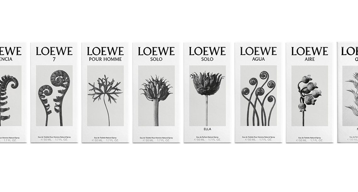 ¿Qué hay detrás del nuevo packaging de Loewe? - Gràffica