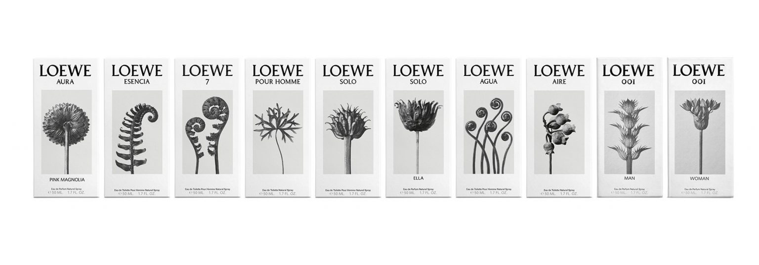 ¿Qué hay detrás del nuevo packaging de Loewe? - Gràffica