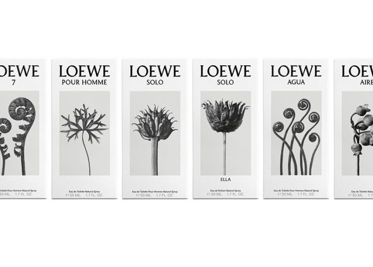 ¿Qué hay detrás del nuevo packaging de Loewe? - Gràffica