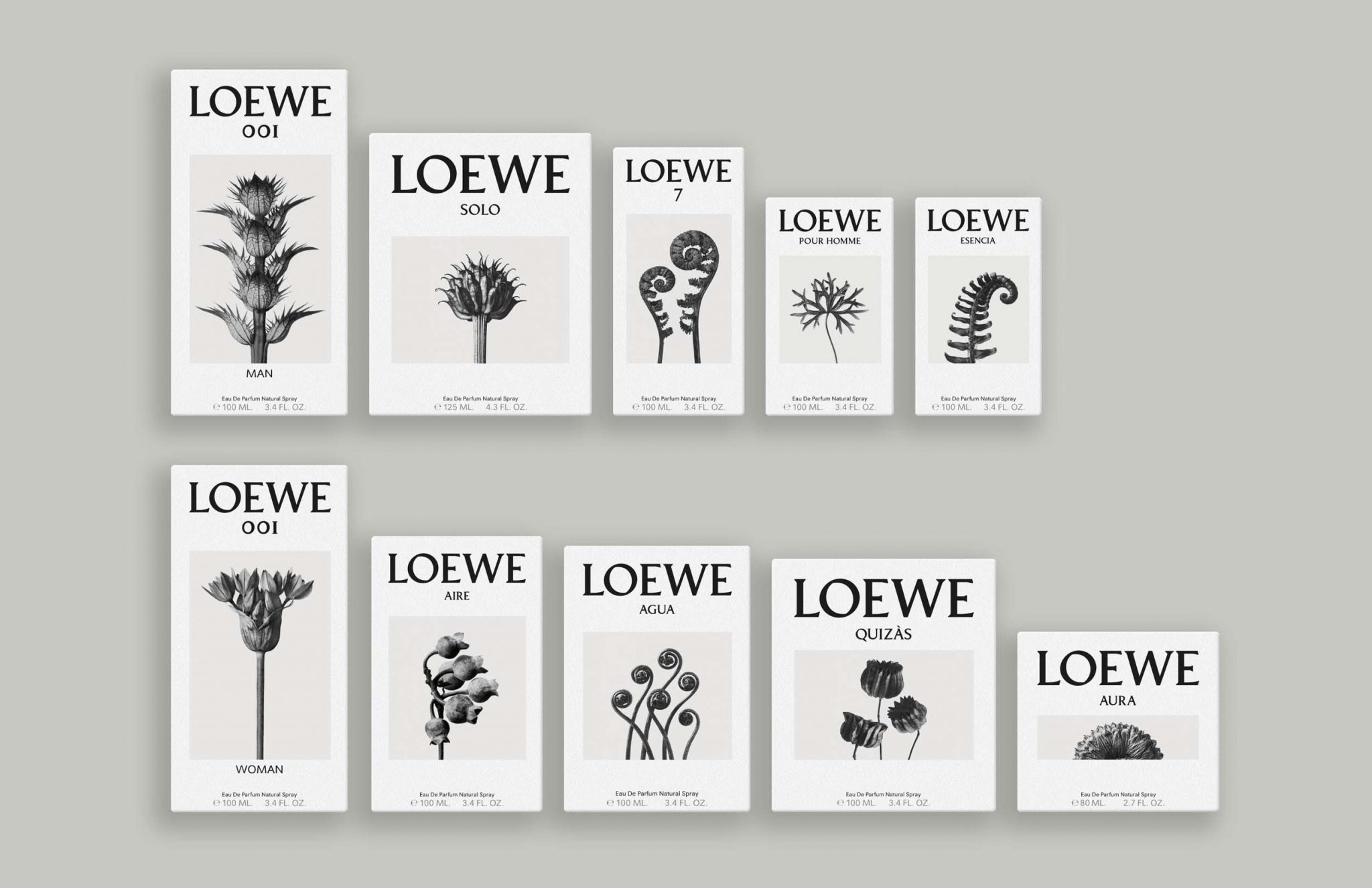 ¿Qué hay detrás del nuevo packaging de Loewe? - Gràffica