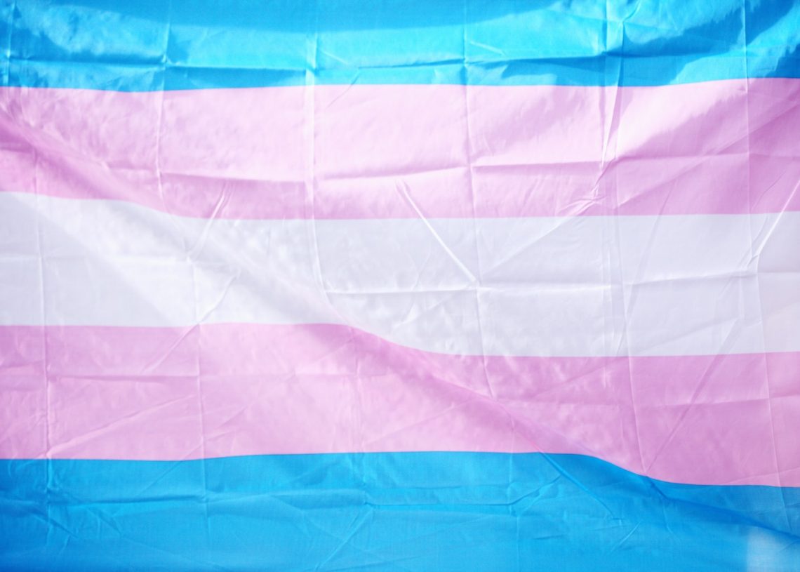 ¿Sabes cómo es la bandera del orgullo trans? - Gràffica
