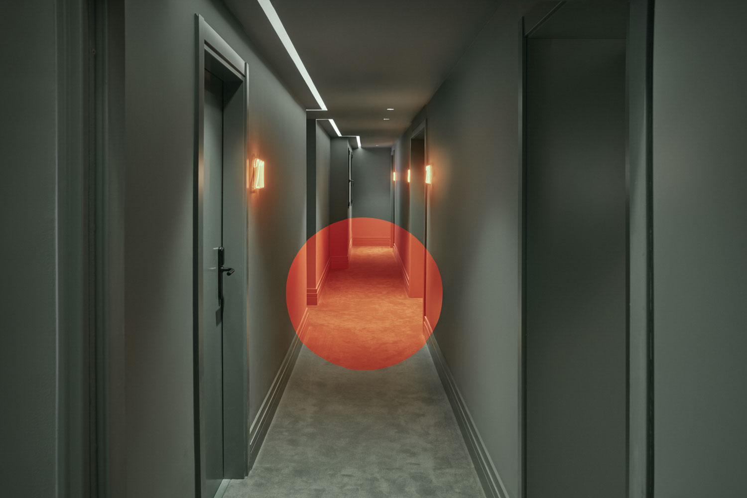 Rebeka Arce: «Cuestionar lo establecido debería ser parte de la esencia ...